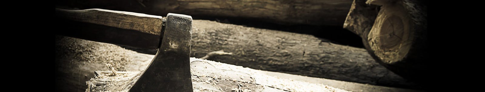 Protect, Provide, Preside ~ Order of Man