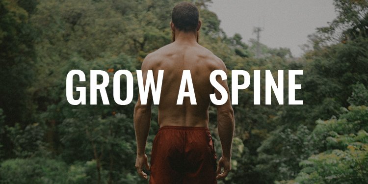 FFN 120: Grow a Spine